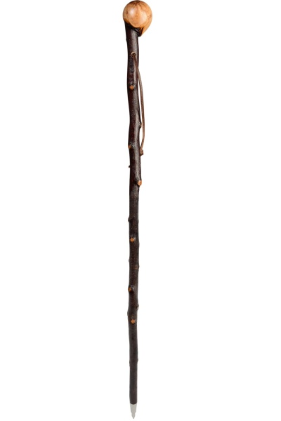 Applewood Rambler Coppice Knobstick with Alpine Spike | Stick & Cane Shop