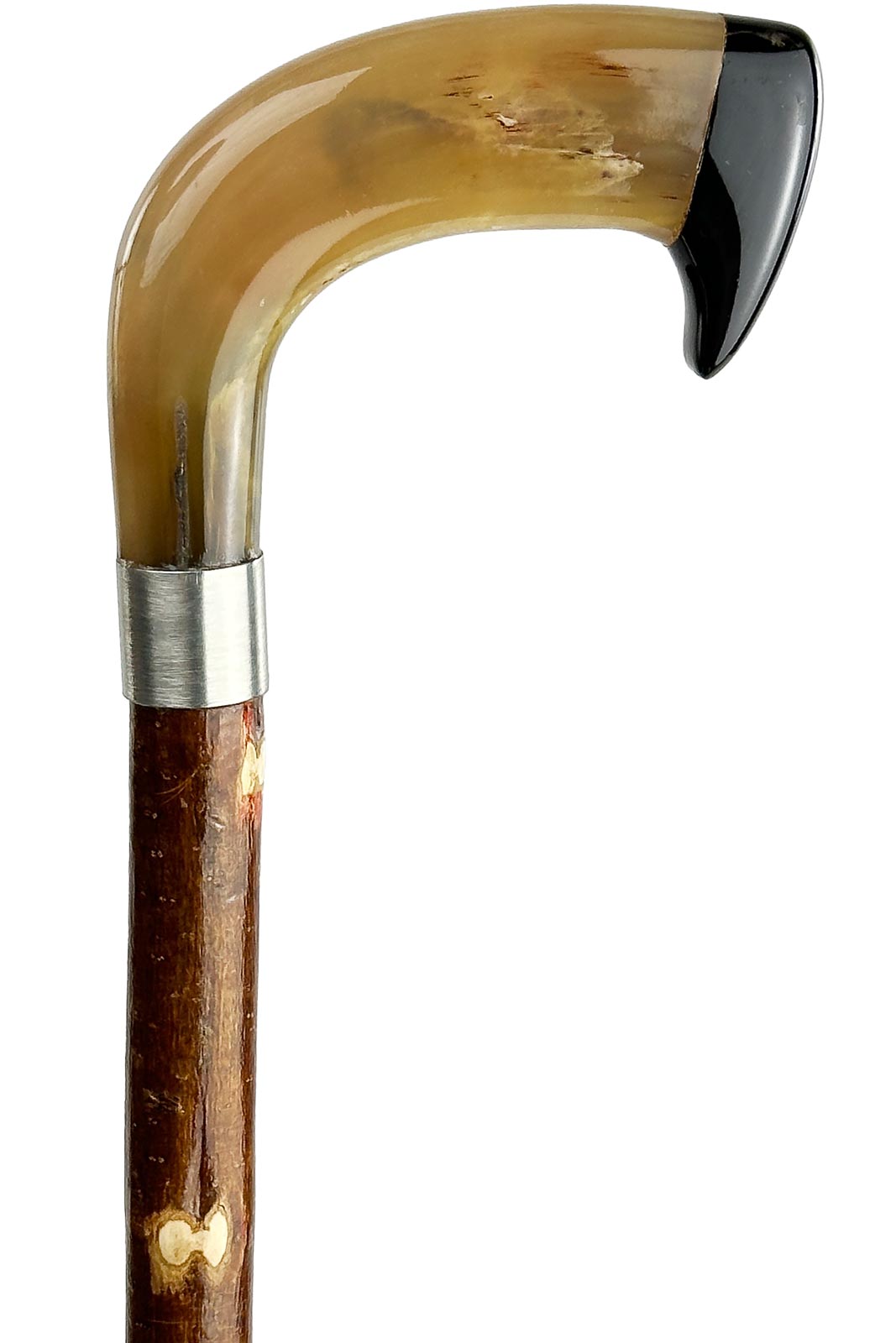 Handcrafted Ramshorn & Buffalo Cardigan Country Stick | Stick & Cane Shop