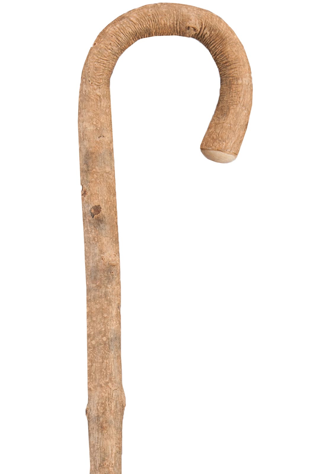 Rustic Ash Crook Walking Stick with Natural Bark | Stick & Cane Shop
