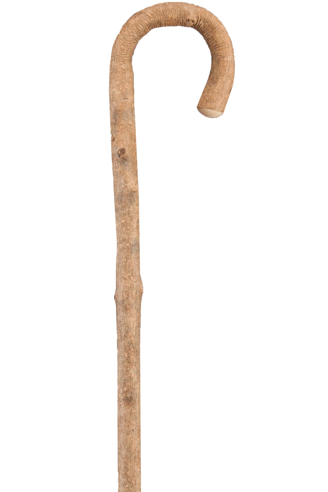 Rustic Ash Crook Walking Stick with Natural Bark | Stick & Cane Shop