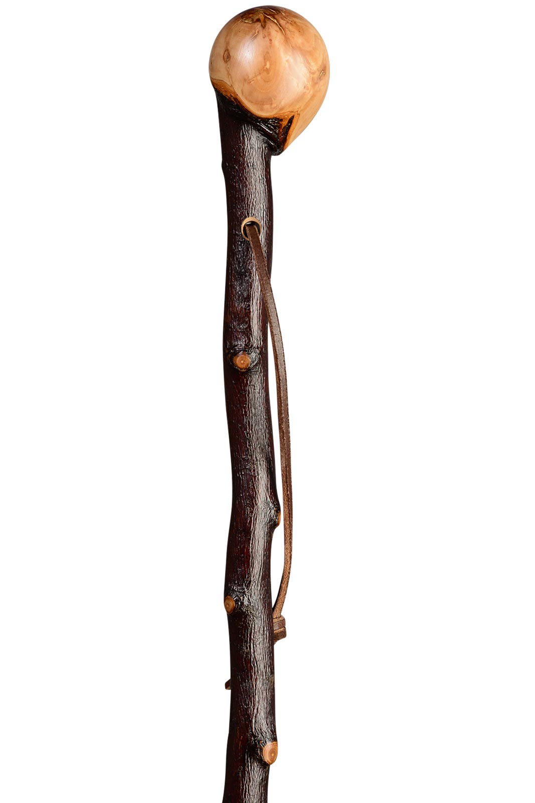 Applewood Rambler Coppice Knobstick with Alpine Spike | Stick & Cane Shop