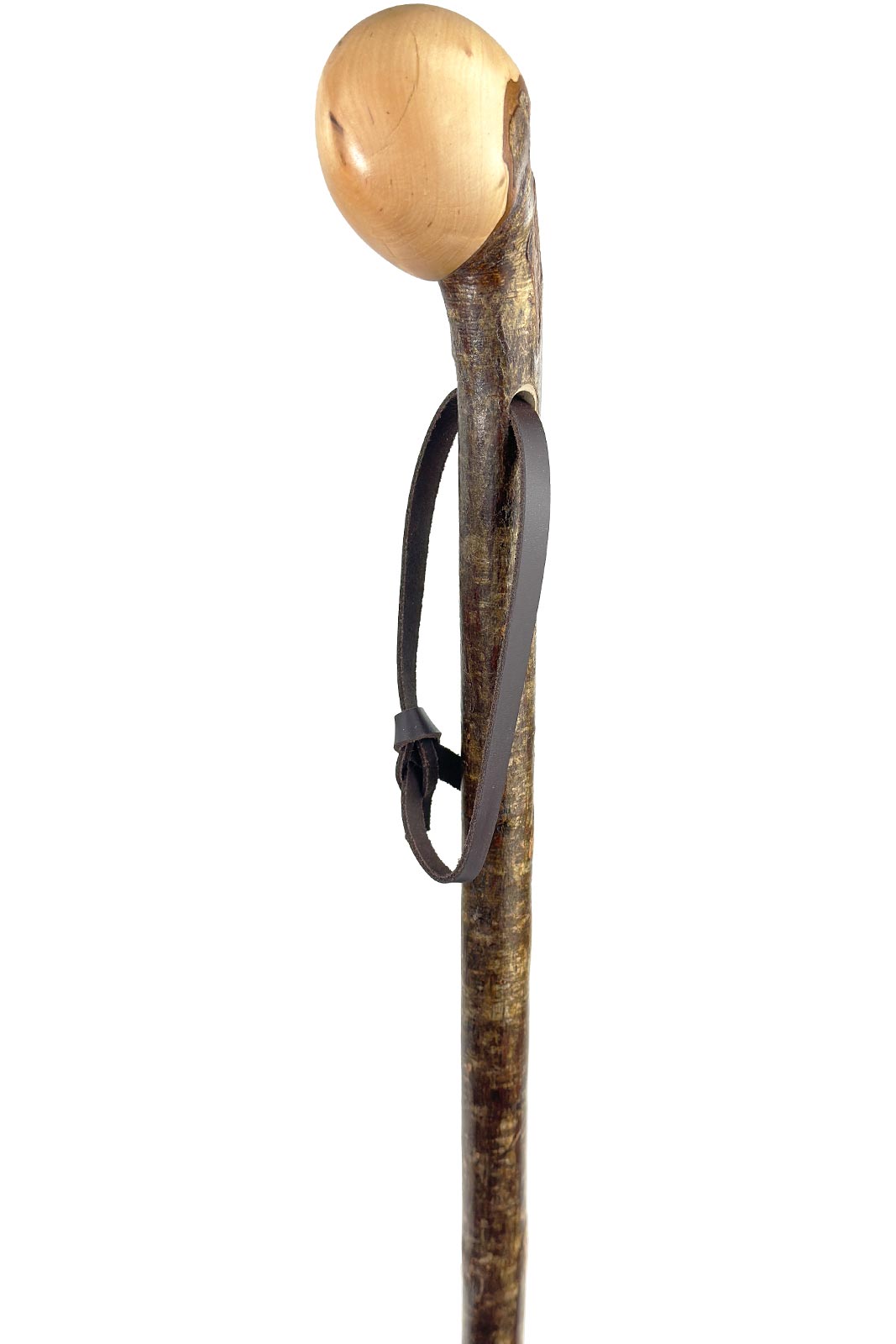 Hazel Rambler Knobstick – Handmade Rustic Walking Stick | Stick & Cane Shop