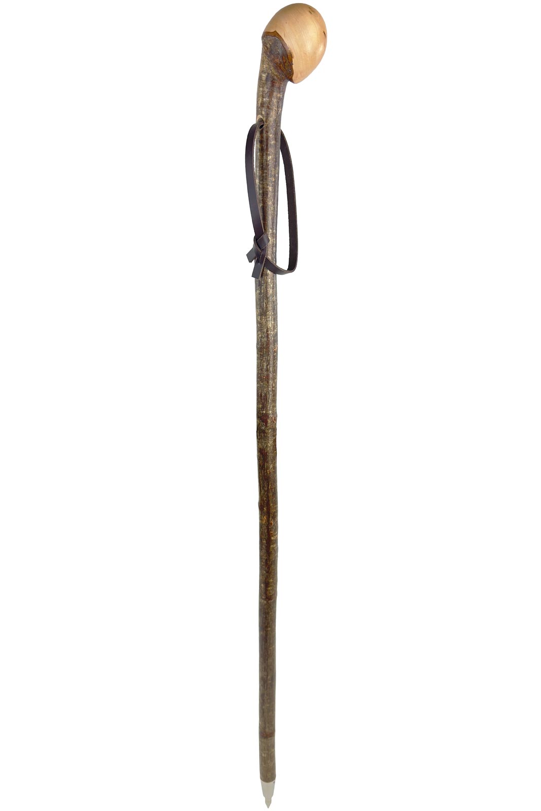 Hazel Rambler Knobstick – Handmade Rustic Walking Stick | Stick & Cane Shop