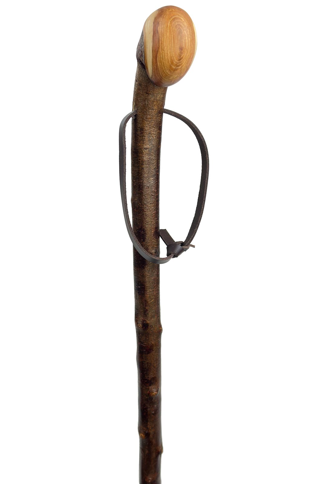 Extra-Long Blackthorn Walking Stick | Handmade Coppice Knob | Stick ...