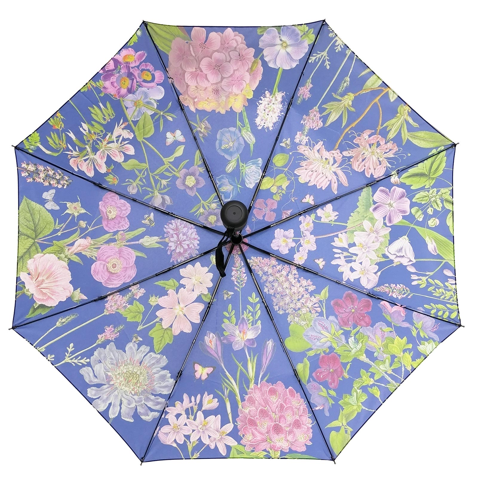 Rosehip Designs Mallow Blue Umbrella | Elegant Floral Auto Open | Stick ...