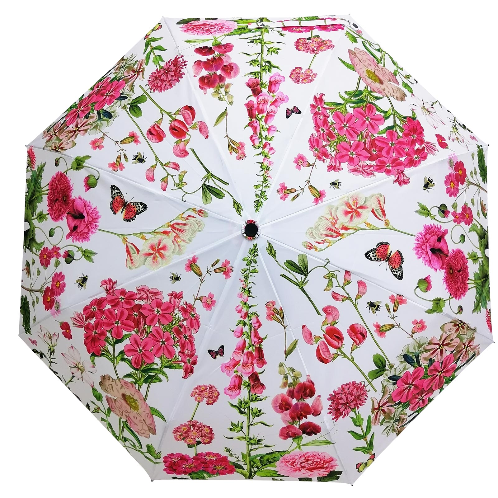 Rosehip Designs Pink Sweetpea Umbrella | Elegant Floral Auto Open ...