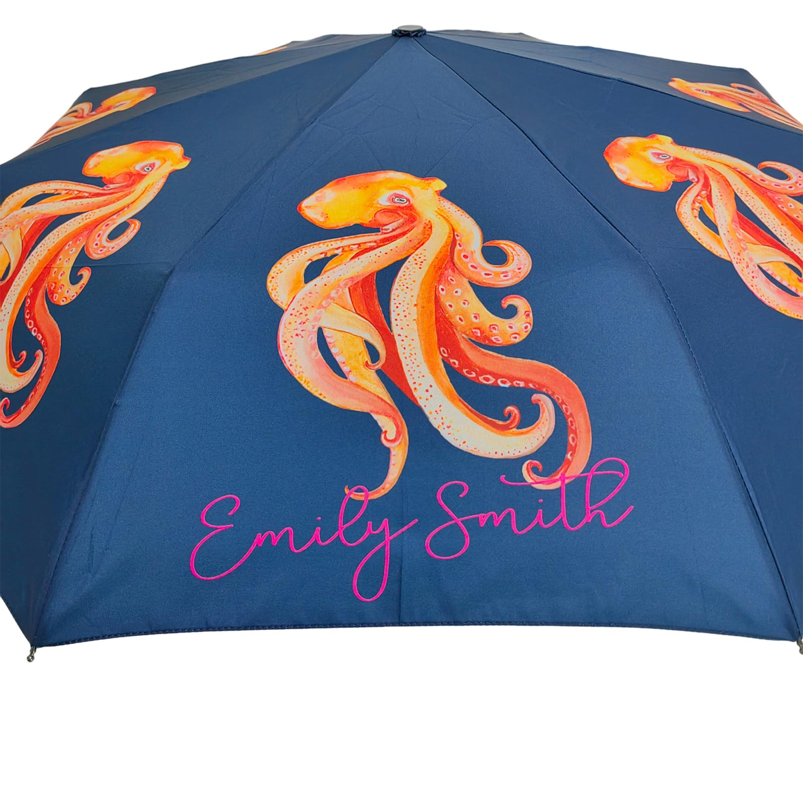 Emily Smith O&C Folding Umbrella - Oscar the Octopus | Stick & Cane Shop