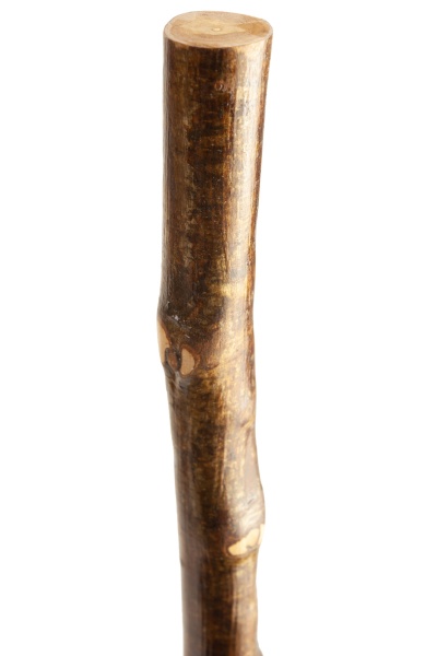 Hazel Walking Sticks from Hazel Wood | Stick & Cane Shop