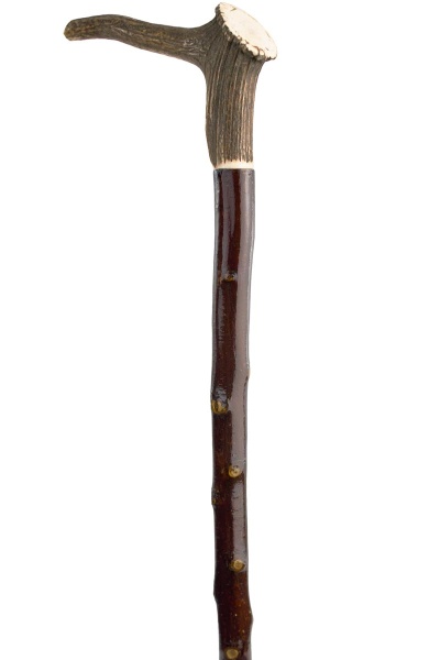 Blackthorn Walking Sticks | UK Made | Stick & Cane Shop