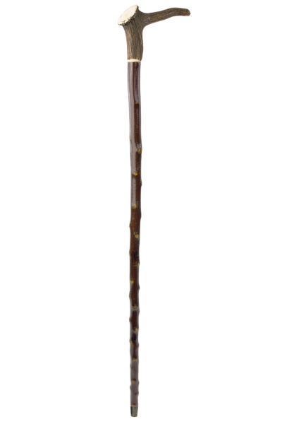 Blackthorn Walking Sticks | UK Made | Stick & Cane Shop