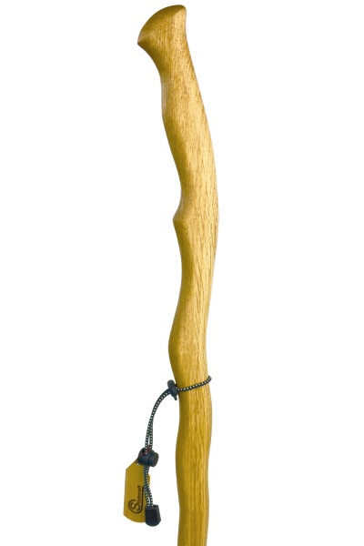 Walking Sticks & Walking Canes UK Store | Stick & Cane Shop